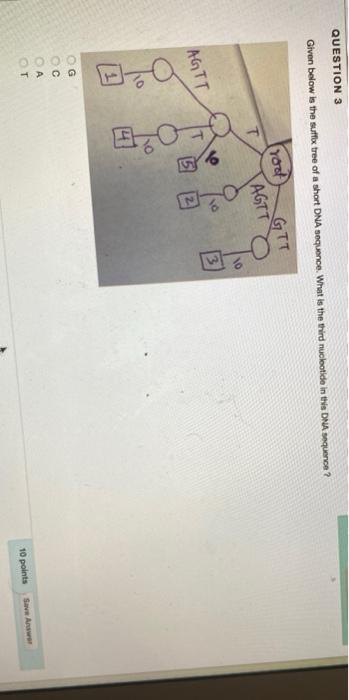 Solved QUESTION 3 Given below is the suffix tree of a short | Chegg.com