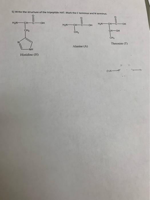 Solved 5) Write the structure of the tripeptide HAT. Mark | Chegg.com Solved 5) Write the structure of the tripeptide HAT. Mark | Chegg.com