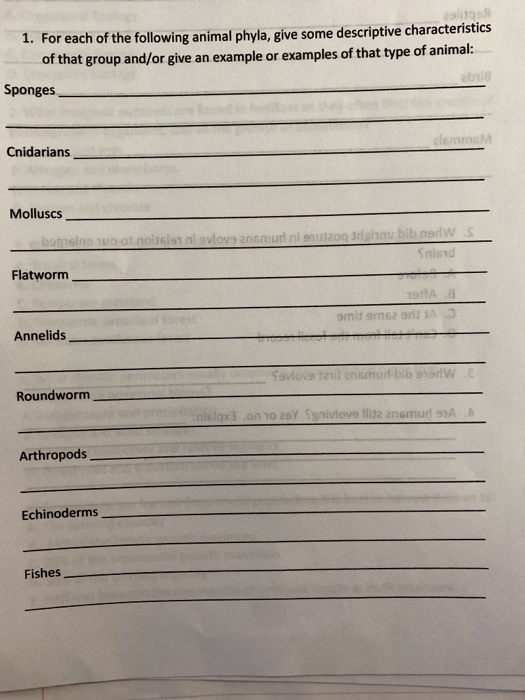Solved los 1. For each of the following animal phyla, give | Chegg.com