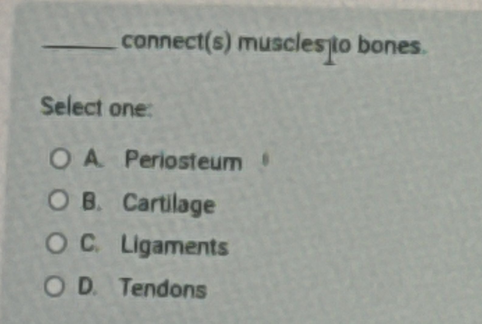Solved connect(s) ﻿musclesto bones.Select one:A. | Chegg.com