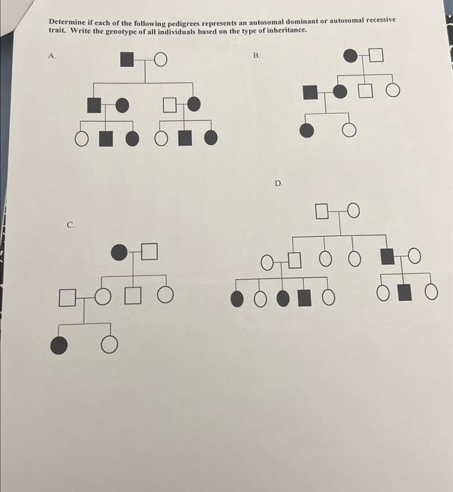 Solved Determine if each of the following pedigrees | Chegg.com