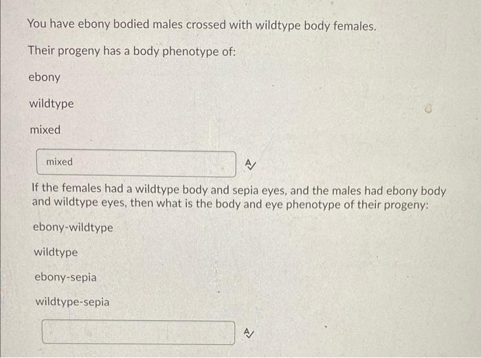 Solved You have ebony bodied males crossed with wildtype | Chegg.com