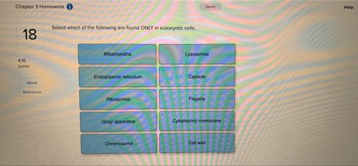 Solved Help Save & EX Subm Match the following bacterial | Chegg.com