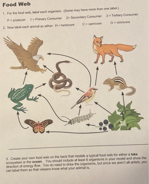 Solved Food Web 1. For the food web, label each organism: | Chegg.com