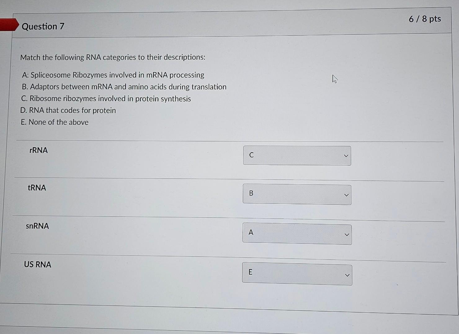 Solved Question 7 6/8 pts Match the following RNA categories | Chegg.com