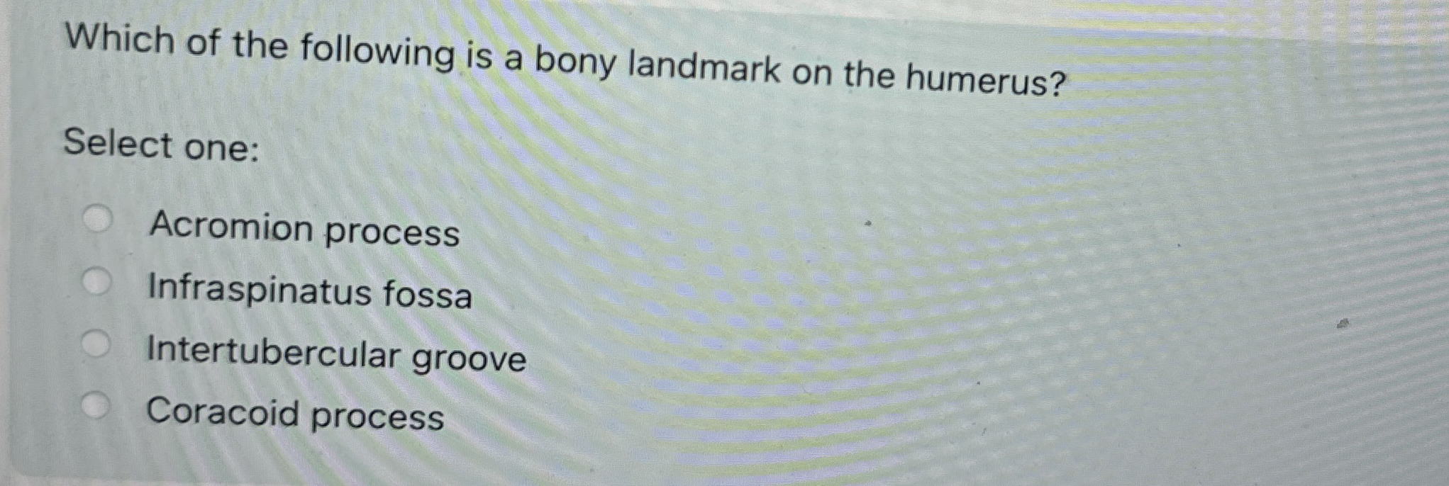 Solved Which of the following is a bony landmark on the | Chegg.com