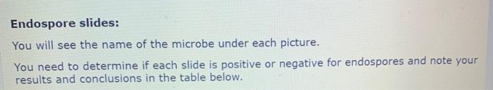 Solved Endospore slides: You will see the name of the | Chegg.com