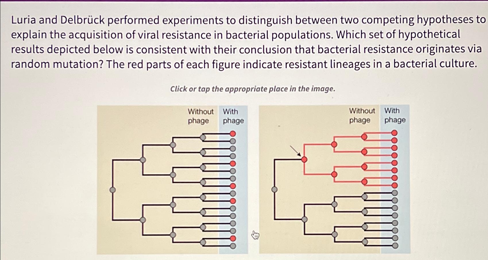 Solved Luria and Delbrück performed experiments to | Chegg.com
