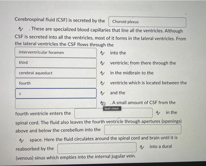 Solved Cerebrospinal fluid (CSF) is secreted by the A . | Chegg.com
