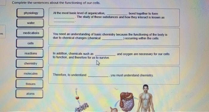 Solved Complete the sentences about the functioning of our | Chegg.com