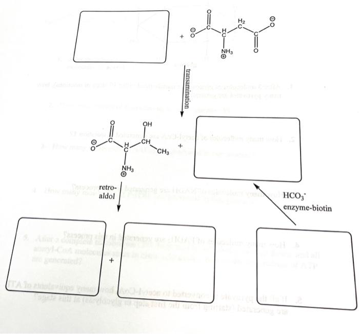 Solved complete the reactions | Chegg.com Solved complete the reactions | Chegg.com