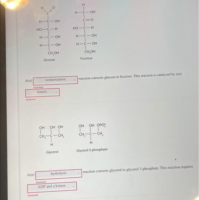 Solved For each pair of biomolecules, identify the type of | Chegg.com