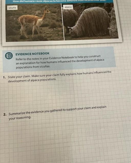 Solved EVIDENCE NOTEBOOK Refer to the notes in your Evidence | Chegg.com