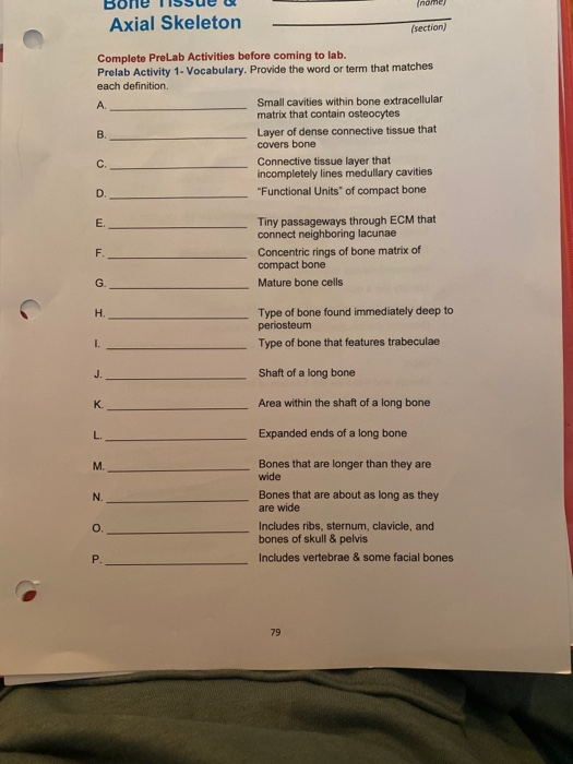Solved (nome) Axial Skeleton /section) Complete PreLab | Chegg.com