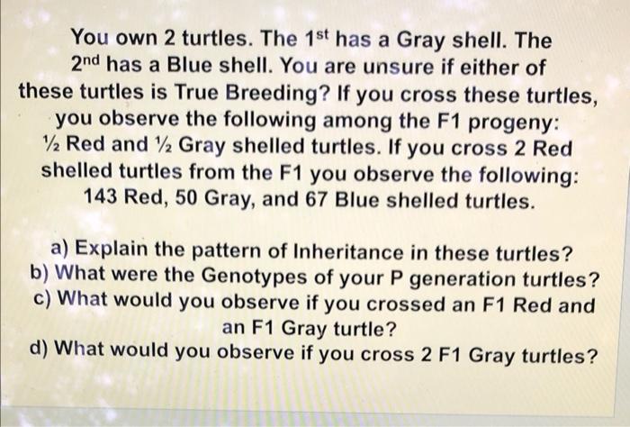 Solved You own 2 turtles. The 1st has a Gray shell. The 2nd | Chegg.com