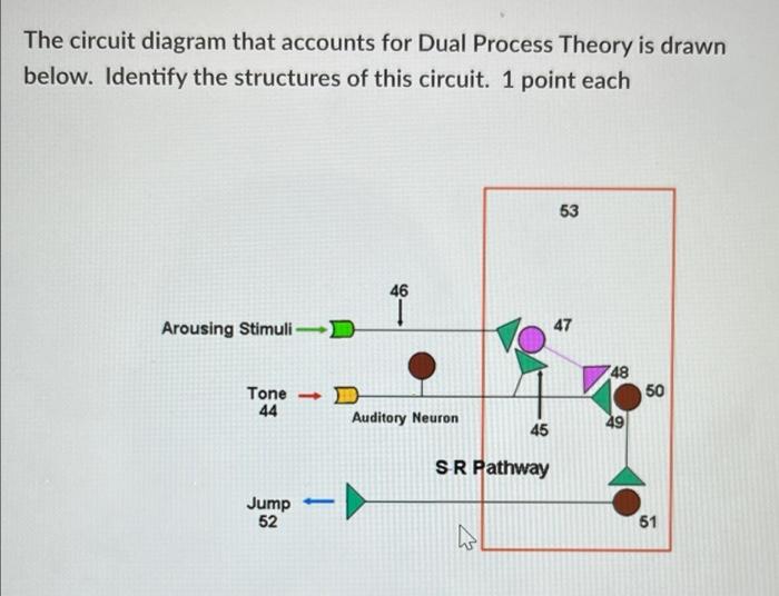 Solved The circuit diagram that accounts for Dual Process | Chegg.com