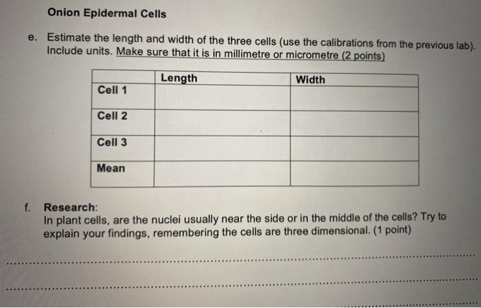 Onion Epidermal Cells e. Estimate the length and | Chegg.com