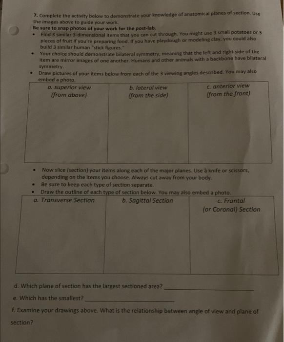 Solved . 7. Complete the activity below to demonstrate your | Chegg.com