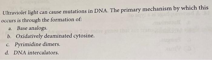 Solved Ultraviolet light can cause mutations in DNA. The | Chegg.com