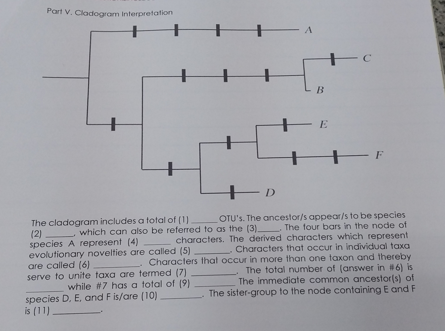 Solved Part V. ﻿Cladogram InterpretationThe cladogram | Chegg.com