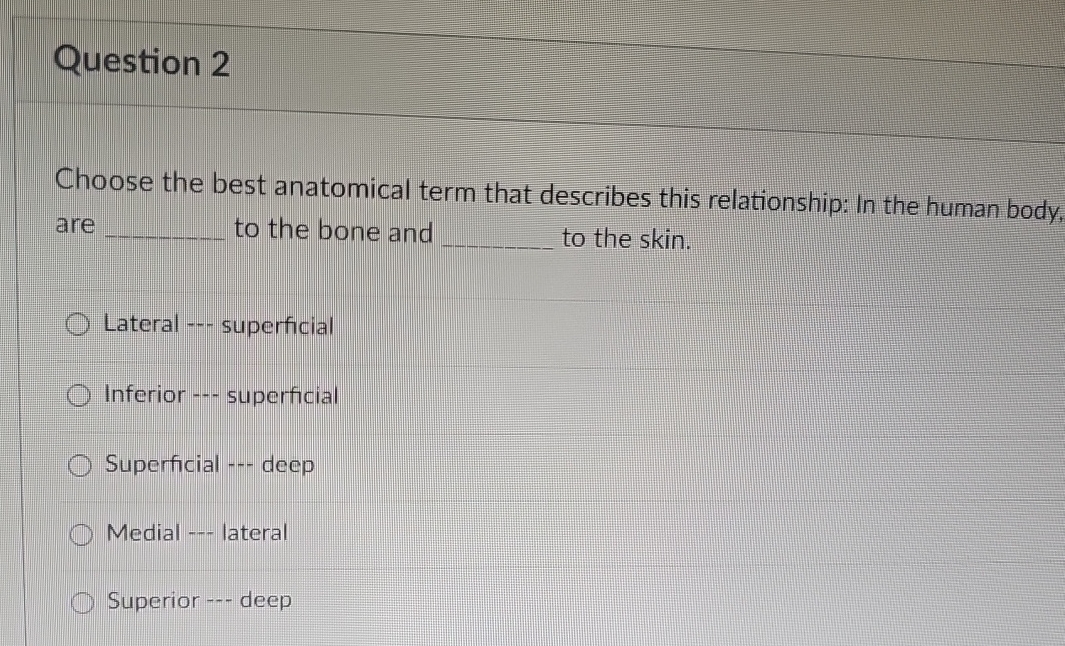 Solved Question 2Choose the best anatomical term that | Chegg.com