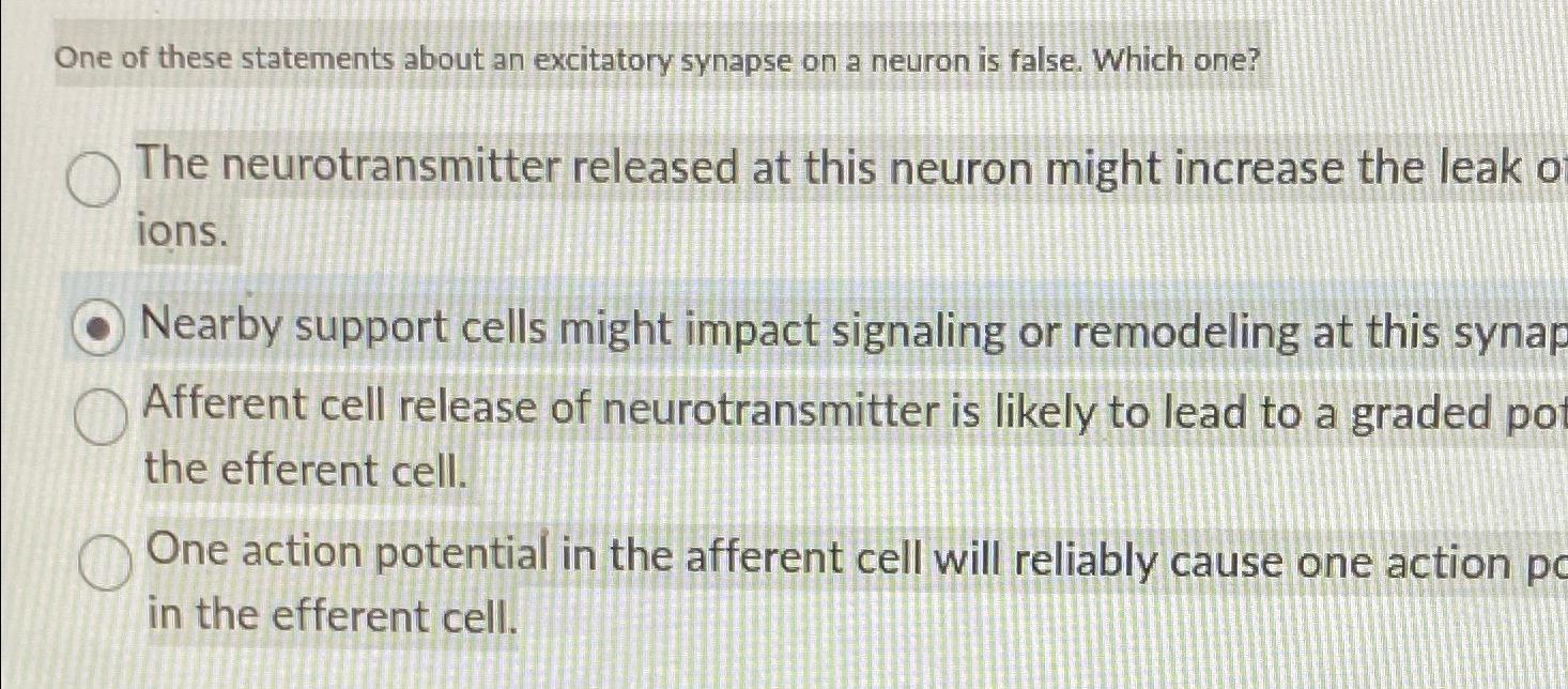 Solved One of these statements about an excitatory synapse | Chegg.com