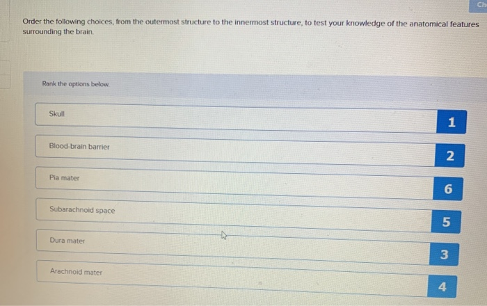 Solved Ch Order the following choices, from the outermost | Chegg.com