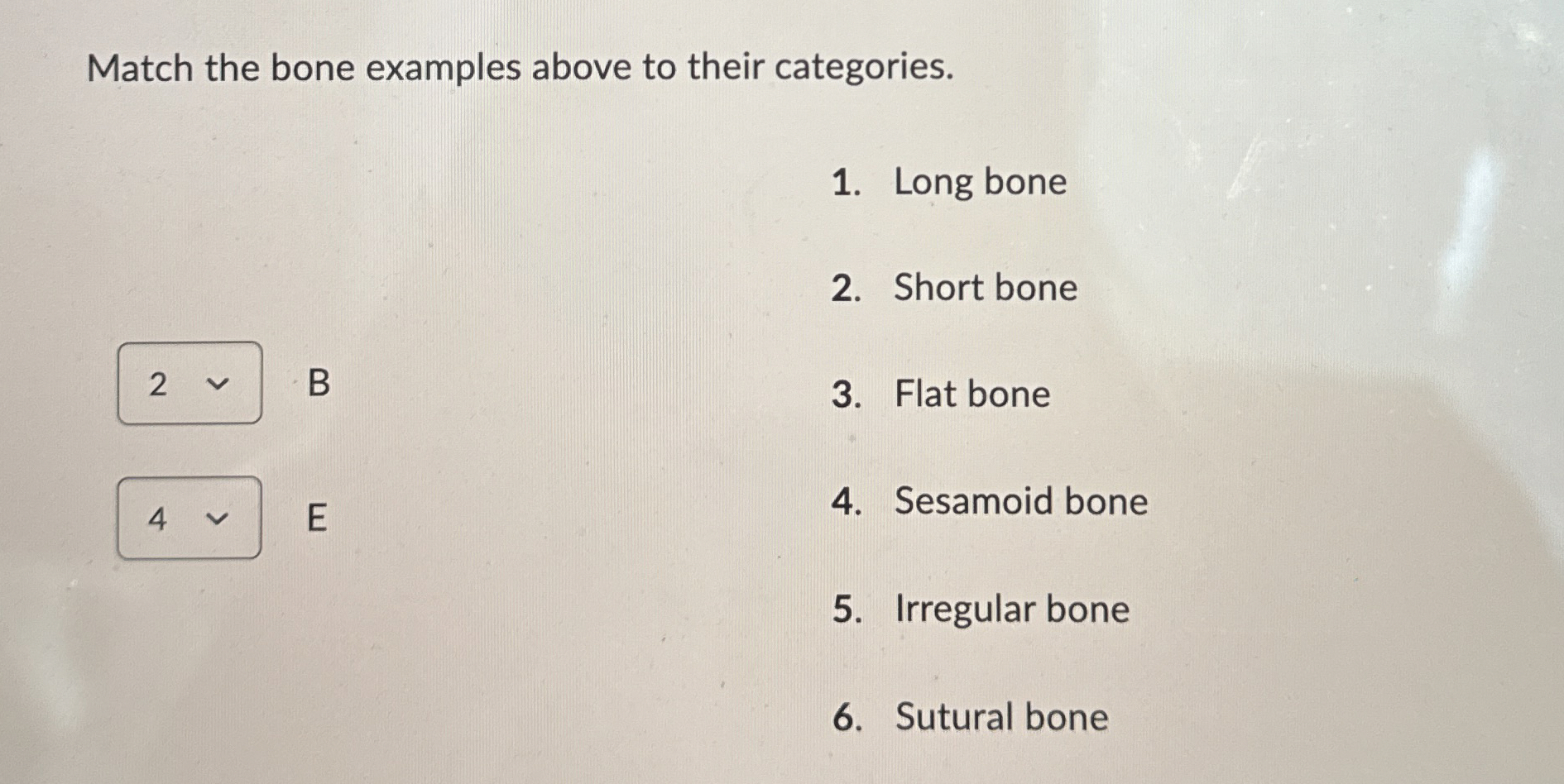 Solved Match the bone examples above to their | Chegg.com