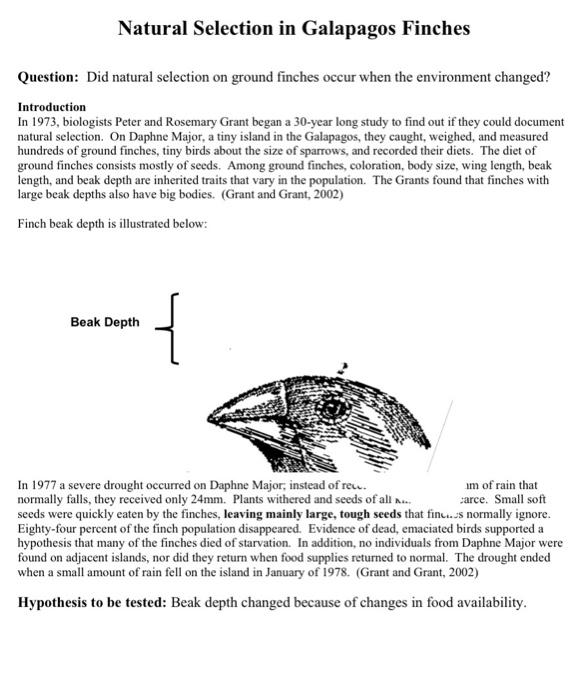 Solved Natural Selection in Galapagos Finches Question: Did | Chegg.com