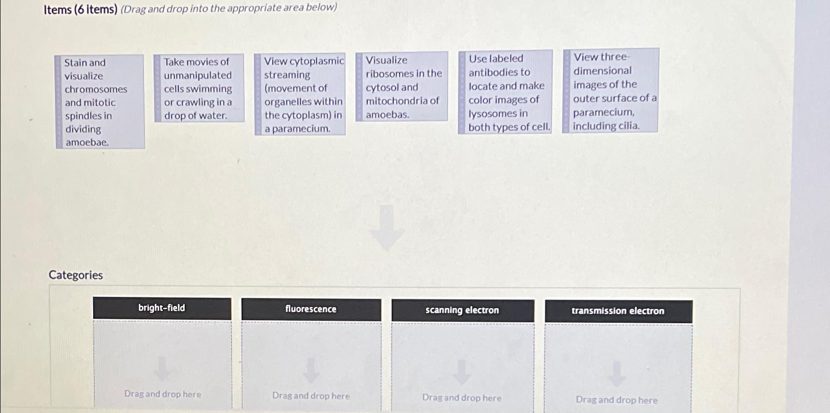 Solved Items ( 6 ﻿items) (Drag and drop into the appropriate | Chegg.com