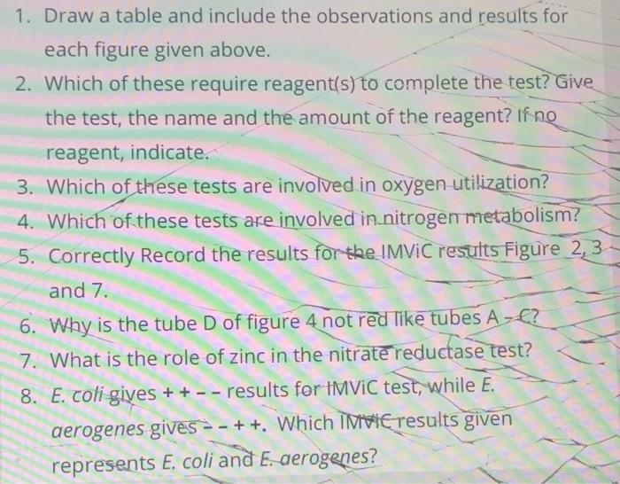 Solved IMVIC Test - Organism A Urease Test E. coli P. | Chegg.com