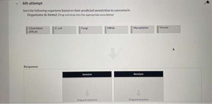 Solved 6th attempt Sort the following organisms based on | Chegg.com