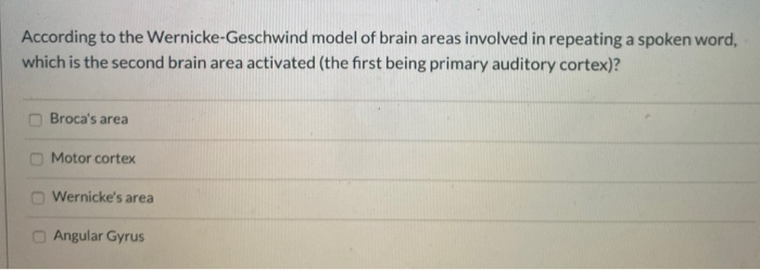 Solved According to the Wernicke-Geschwind model of brain | Chegg.com