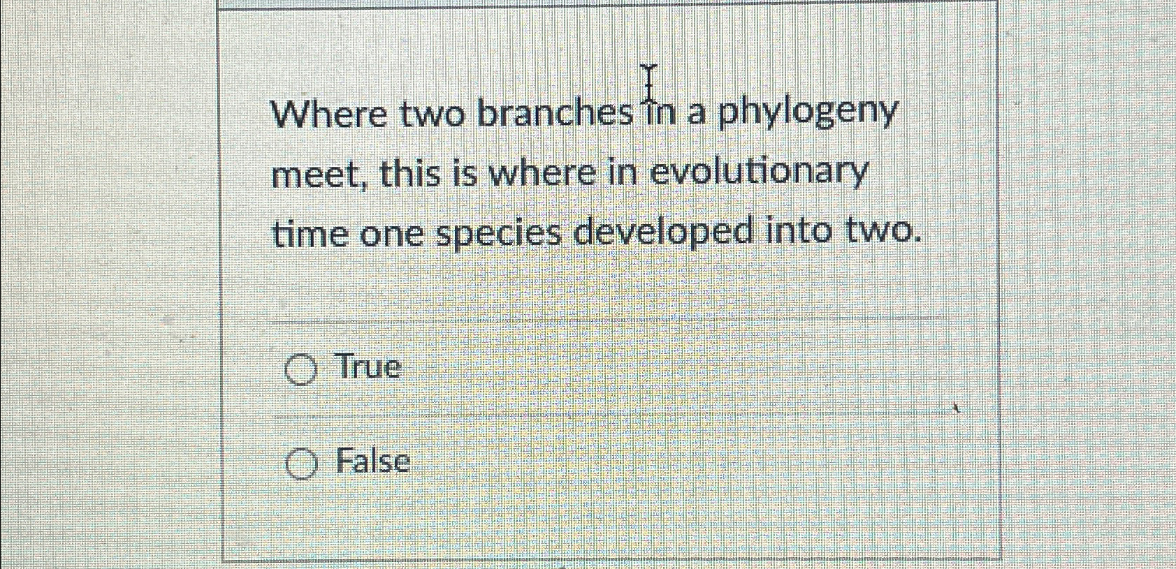 Solved Where two branches in a phylogeny meet, this is where | Chegg.com