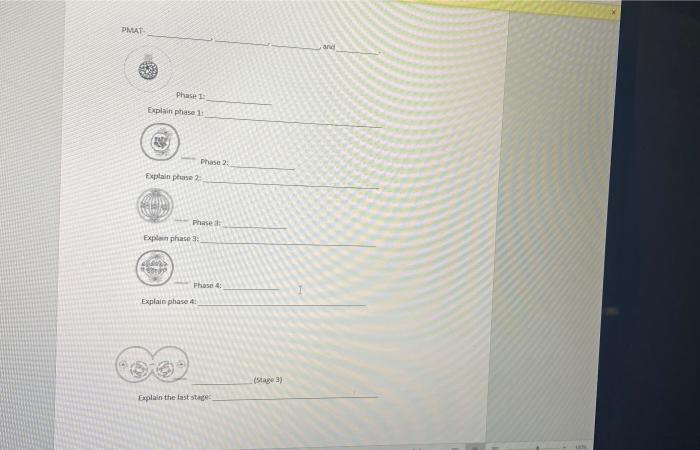 Solved PMAT and Phas Explain phase 1: Phase 2: Explain phase | Chegg.com
