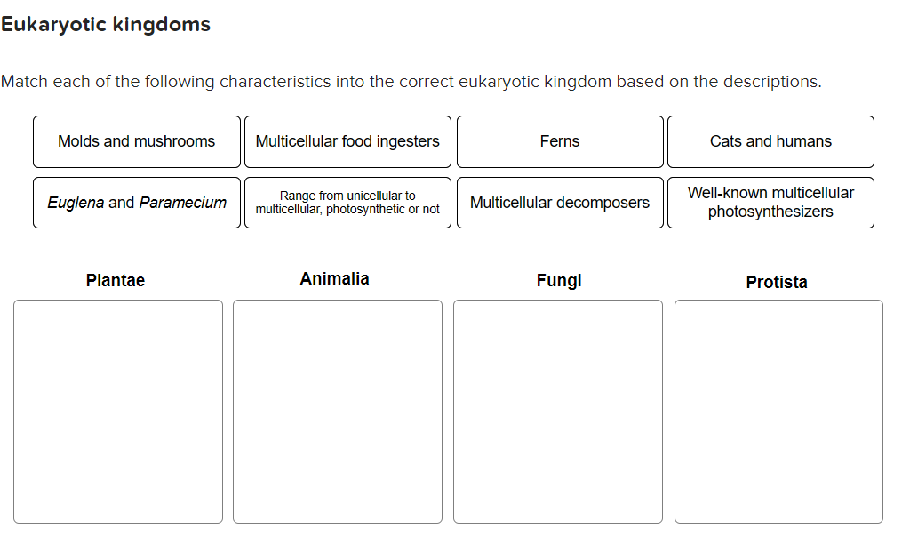 Solved Eukaryotic kingdomsMatch each of the following | Chegg.com