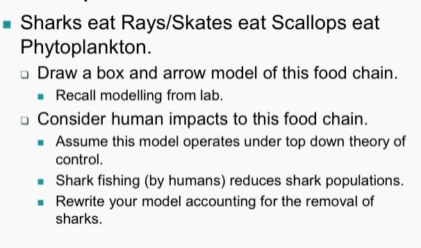 Solved Sharks eat Rays/Skates eat Scallops eat | Chegg.com