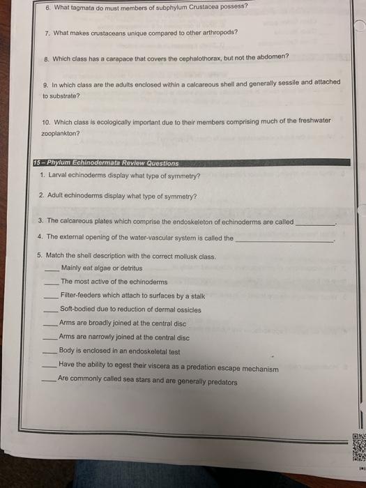 Solved 6. What tagmata do must members of subphylum | Chegg.com