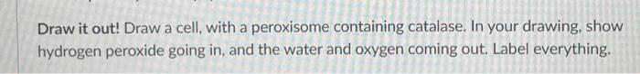 Solved Draw it out! Draw a cell, with a peroxisome | Chegg.com