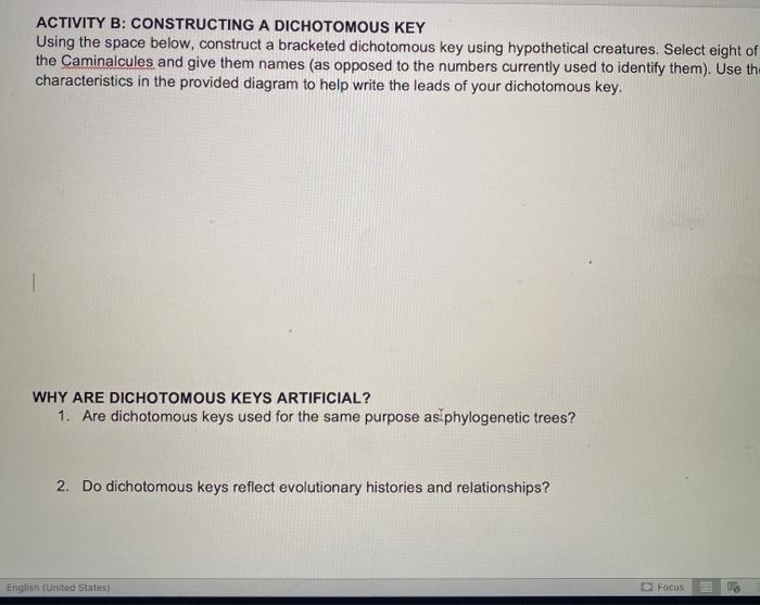 Solved ACTIVITY B: CONSTRUCTING A DICHOTOMOUS KEY Using the | Chegg.com