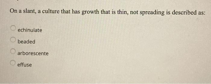 Solved On a slant, a culture that has growth that is thin, | Chegg.com