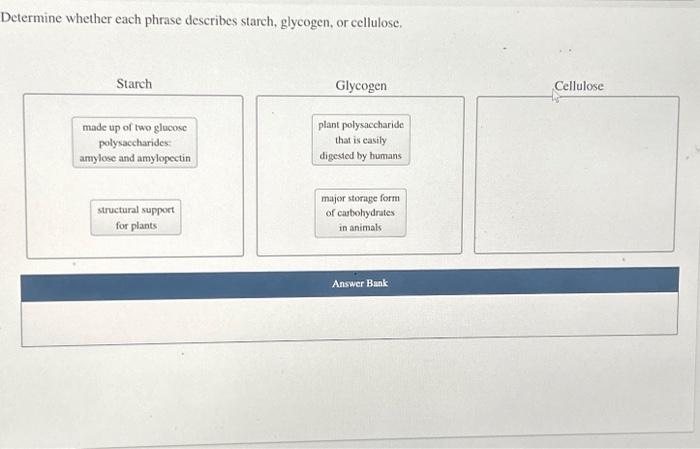 Solved Determine whether each phrase describes starch, | Chegg.com