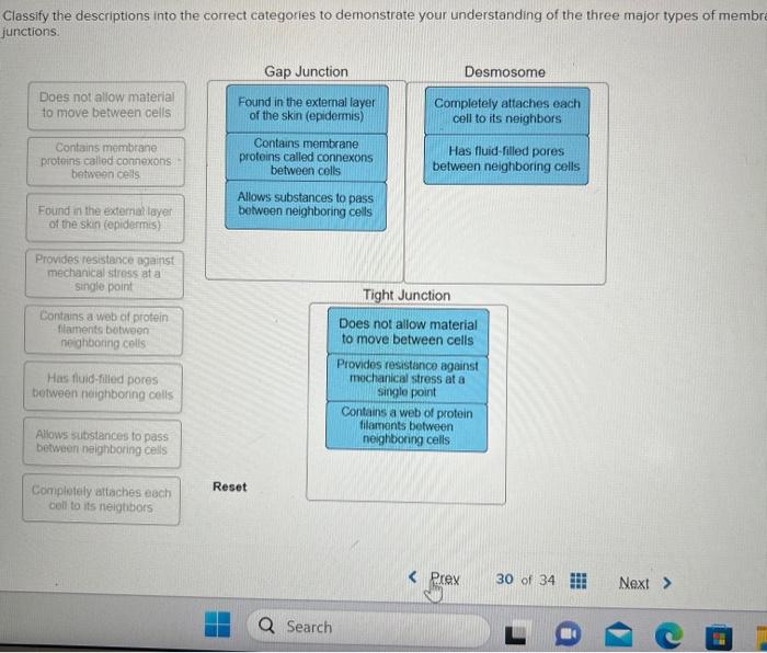 Solved Classify the descriptions into the correct categories | Chegg.com