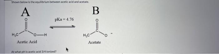 Solved Shown below is the equilibrium between acetic acid | Chegg.com