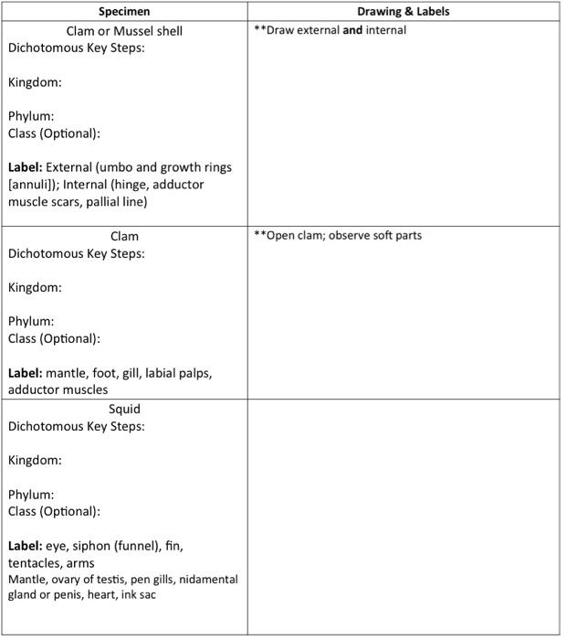 Solved Given the following dichotomous key, list the steps | Chegg.com