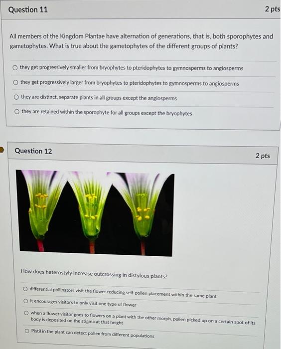 Solved Question 11 2 pts All members of the Kingdom Plantae | Chegg.com