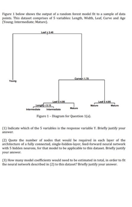 Solved Figure 1 below shows the output of a random forest | Chegg.com