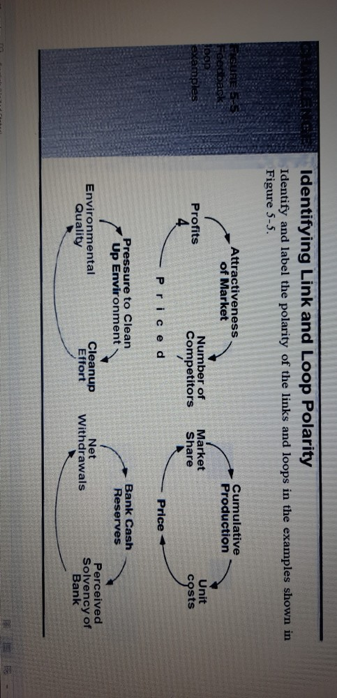 Solved Identifying Link and Loop Polarity Identify and label | Chegg.com