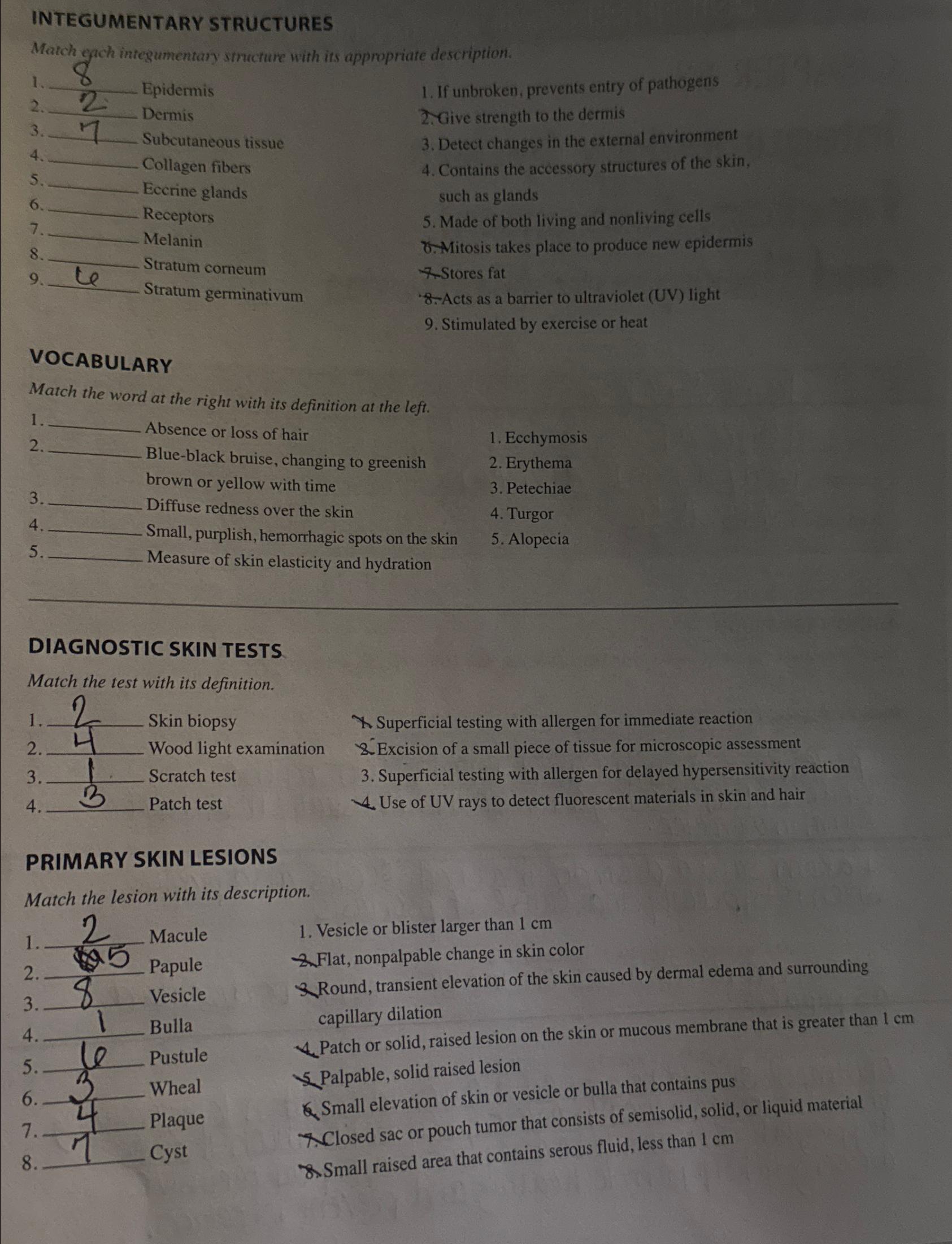 Solved INTEGUMENTARY STRUCTURESMatch each integumentary | Chegg.com