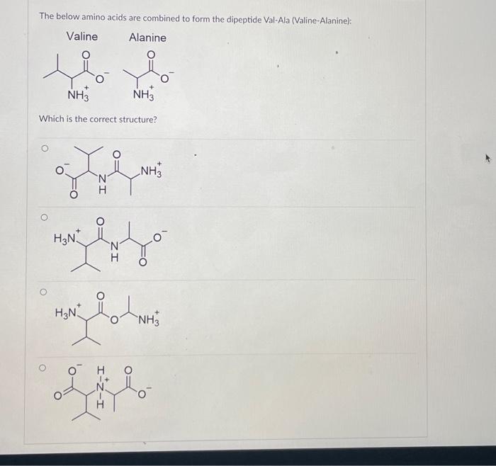 Solved The below amino acids are combined to form the | Chegg.com
